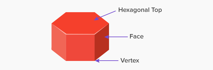 What Is Hexagonal Prism Definition Facts Example