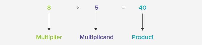 What Is Multiplier Definition Facts And Examples Thienmaonline