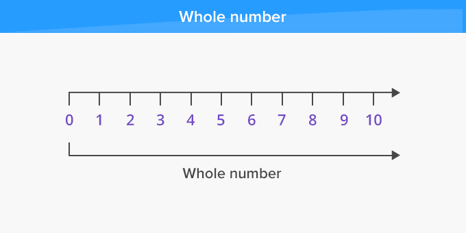 What Are Whole Numbers Definition Facts Example 