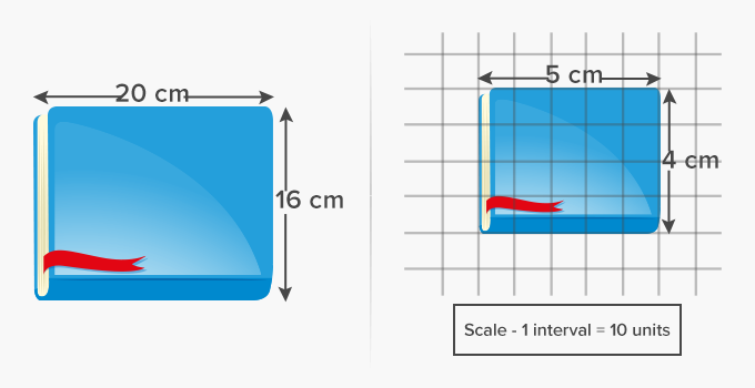 What Is Scale Definition Facts Example 