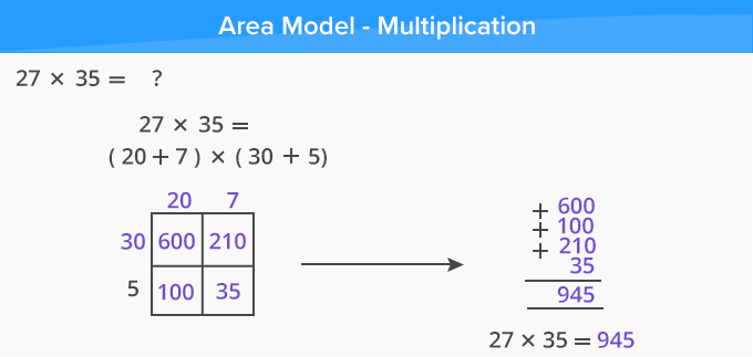 What Is Area Model Definition Facts Example