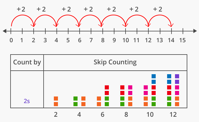 What Is Skip Count Definition Facts Example 