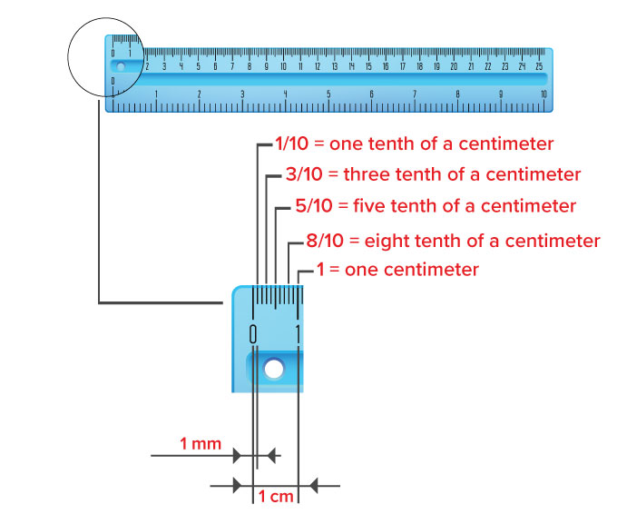 What Is Ruler Definition Facts And Example Images And Photos Finder