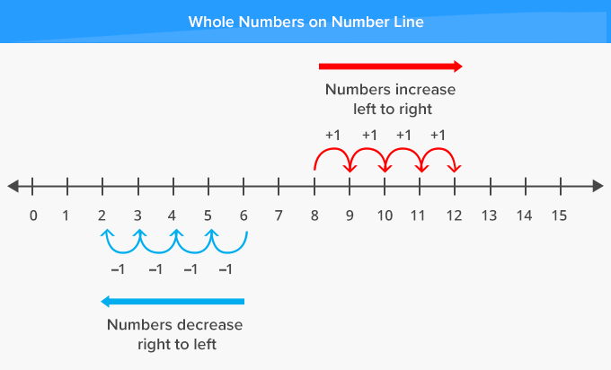 What Is Number Line Definition Facts Example 