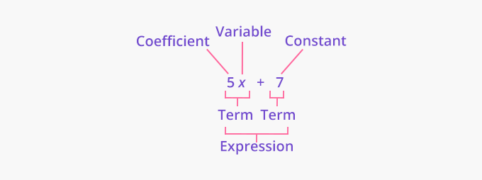 What Is Term Definition Facts Example